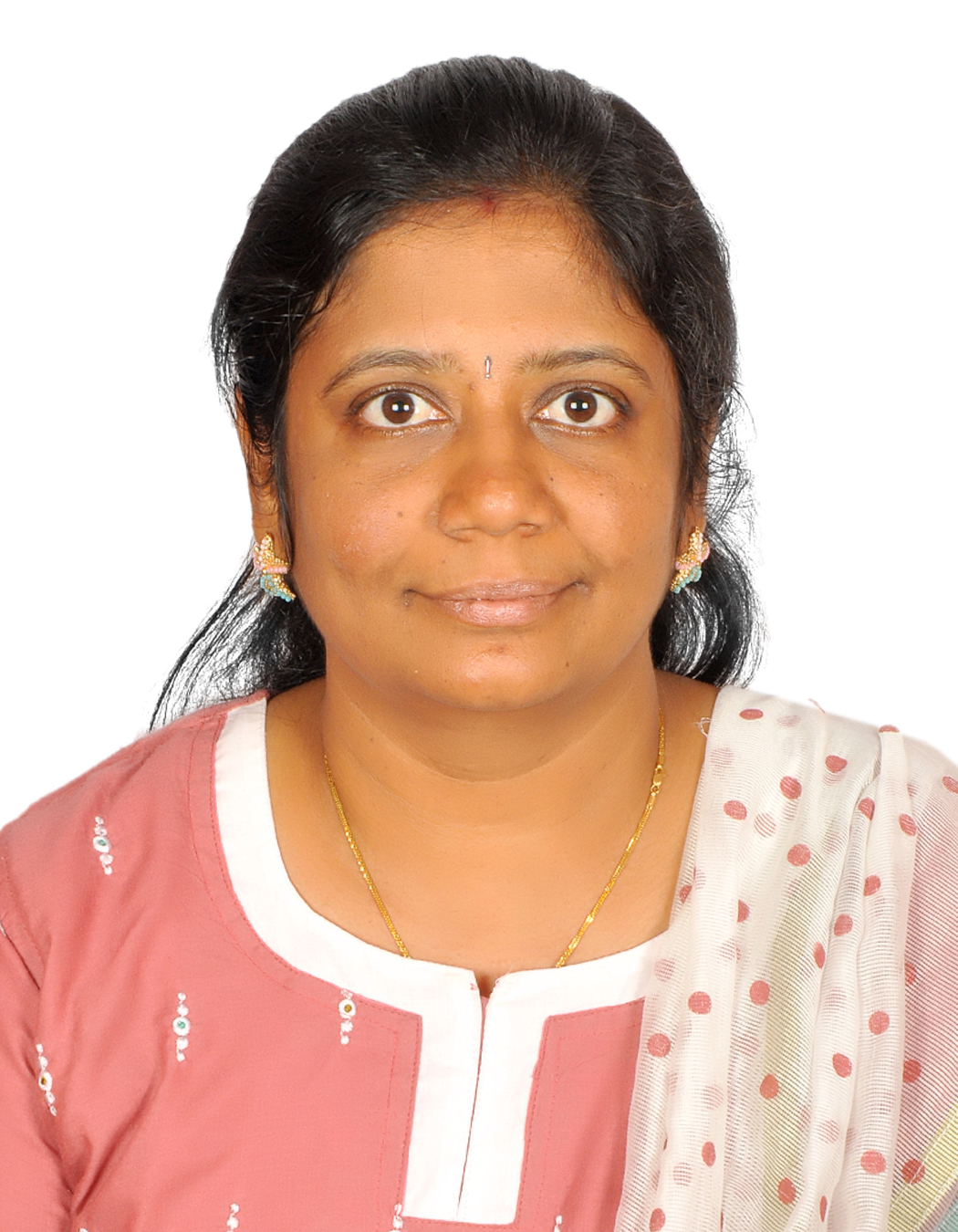 The Team | H.C.Shah - Your Audit Partner